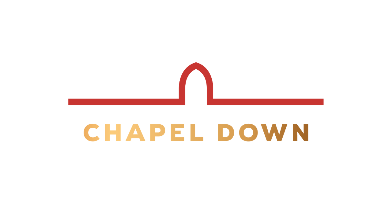 Investor Meet Company